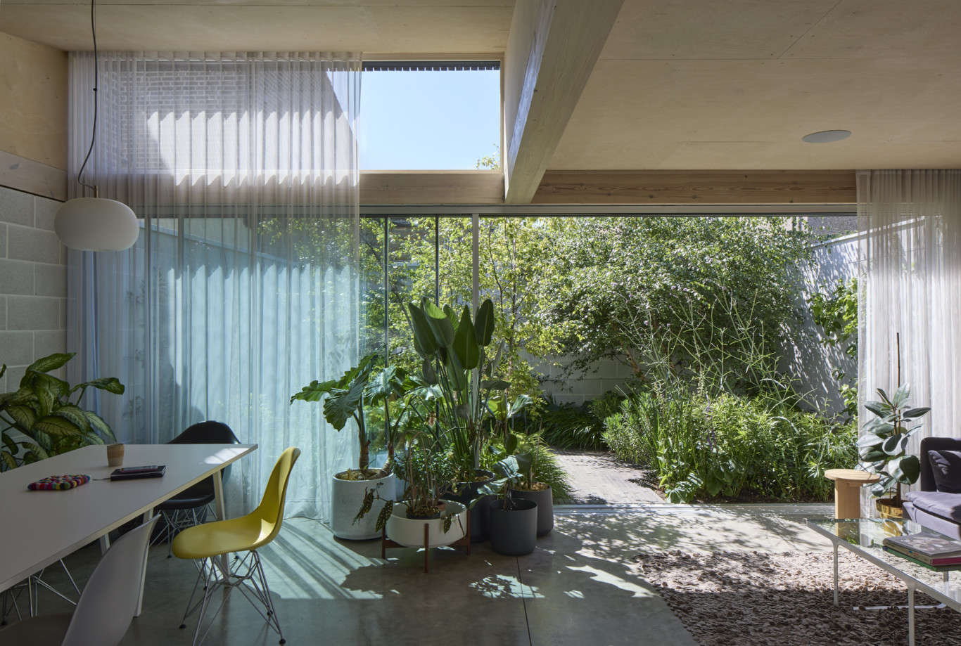 Catching Sun House | New Build House, Walthamstow | Studioshaw