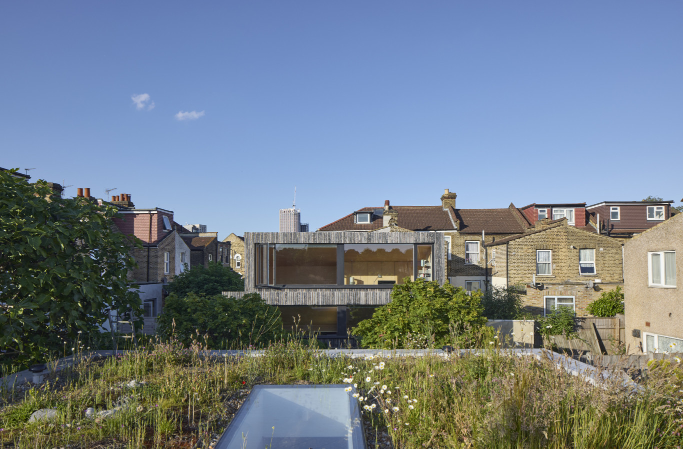 Catching Sun House - studioshaw